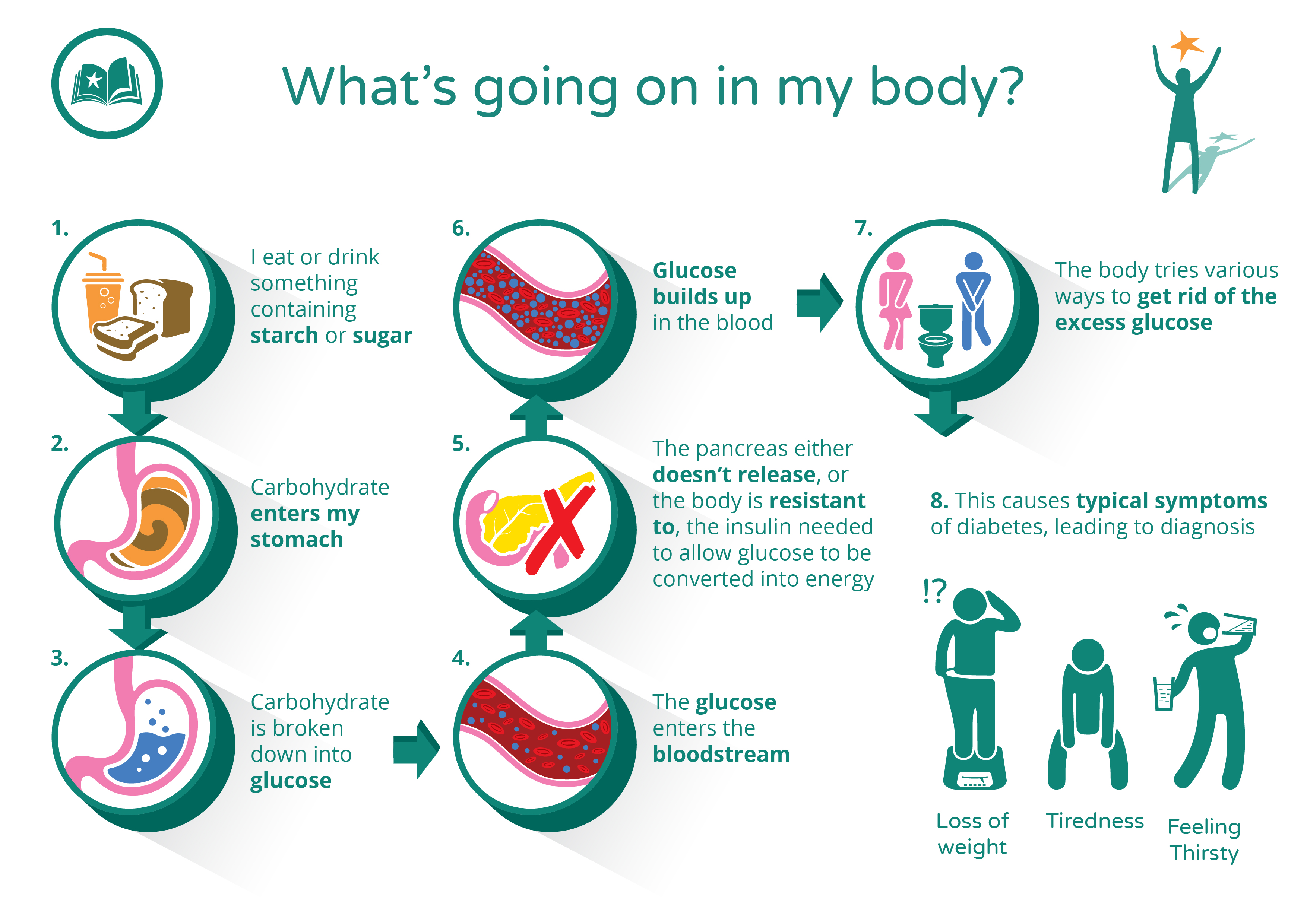 Type 2 Diabetes Disease
